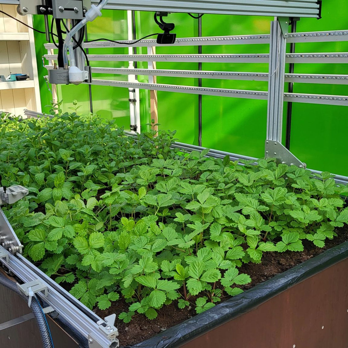 Blog — FarmBot